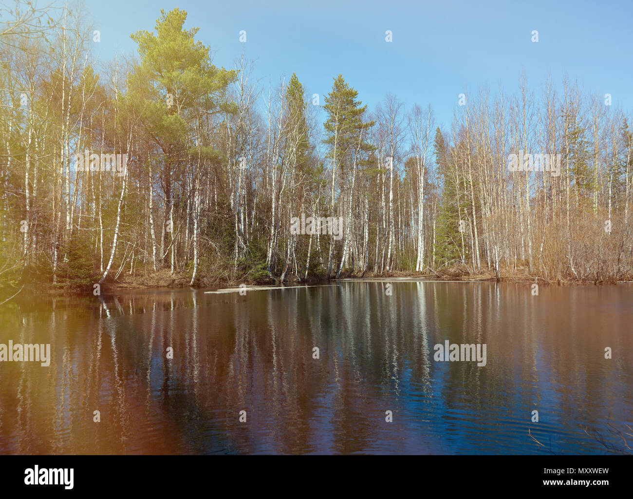 Russian landscape.Spring flooding on the river Arkhangelsk region Stock ...