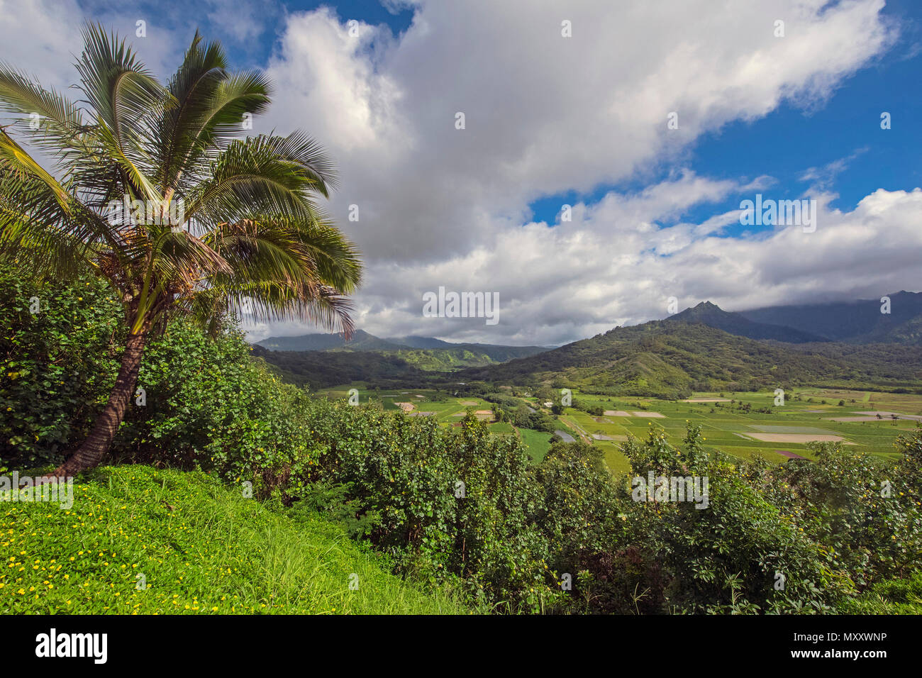 Jurassic park ranch kauai hawaii hi-res stock photography and images ...