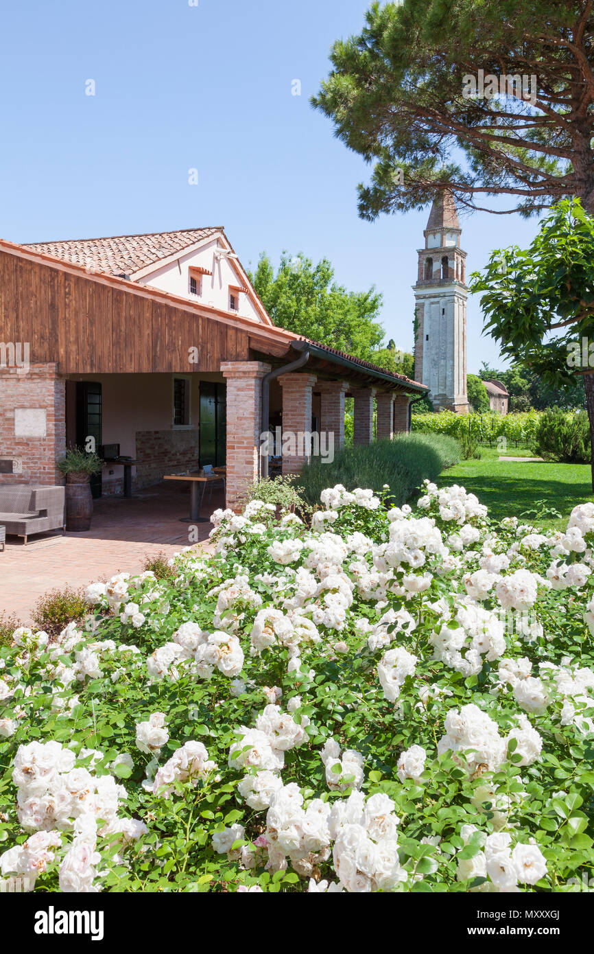 Venissa resort hi-res stock photography and images - Alamy