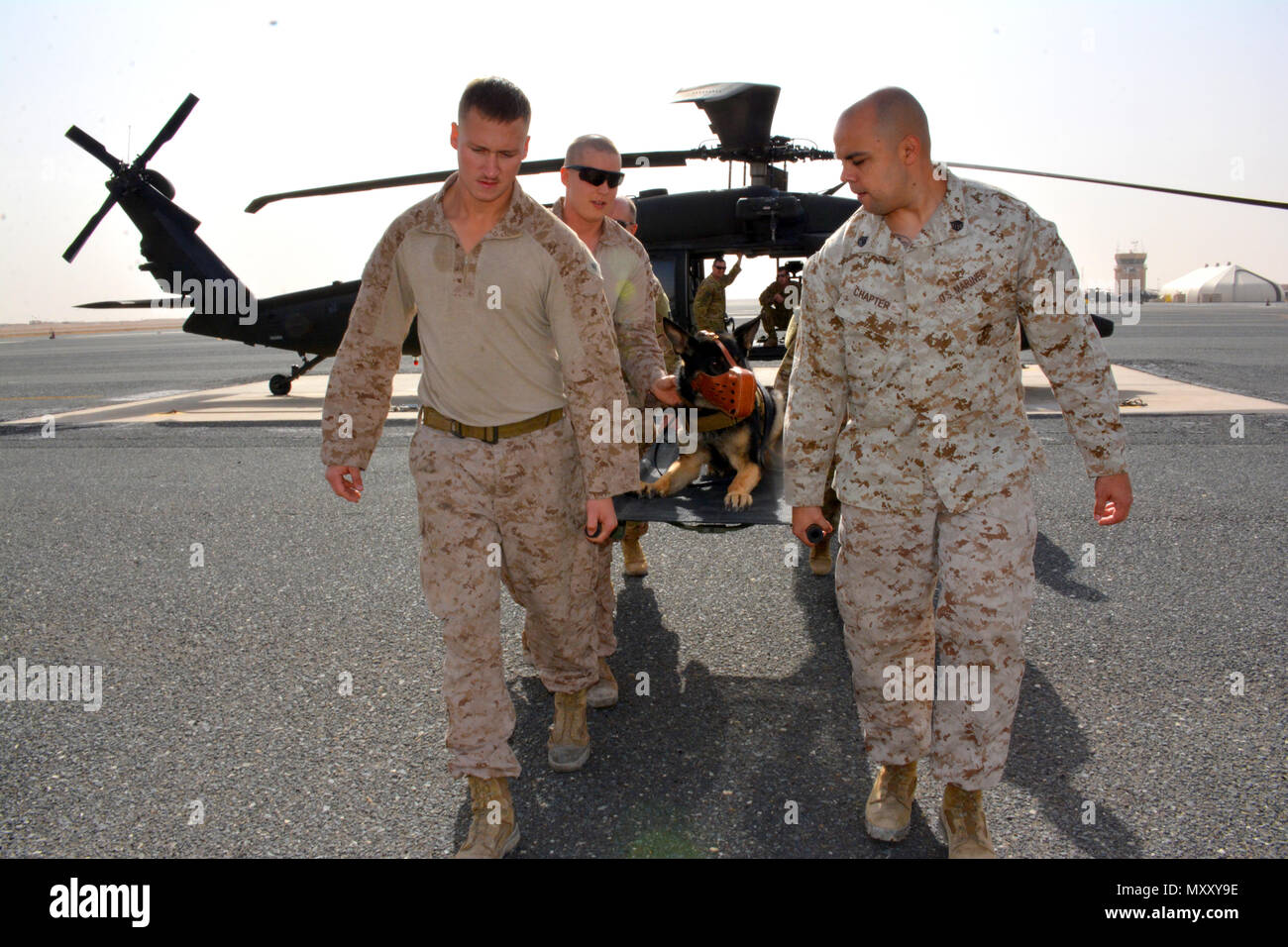 Kuwait- A medevac crew from Charlie Company 1-111th, Jacksonville ...