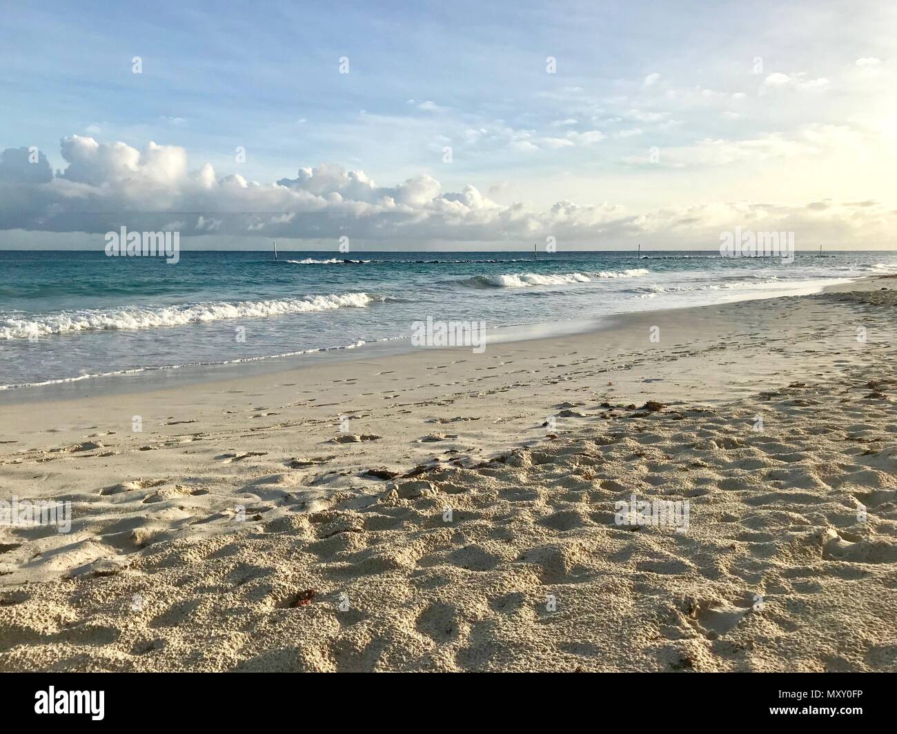 Beautiful panoramic view of an scenic untouched sand beach in Barbados ...