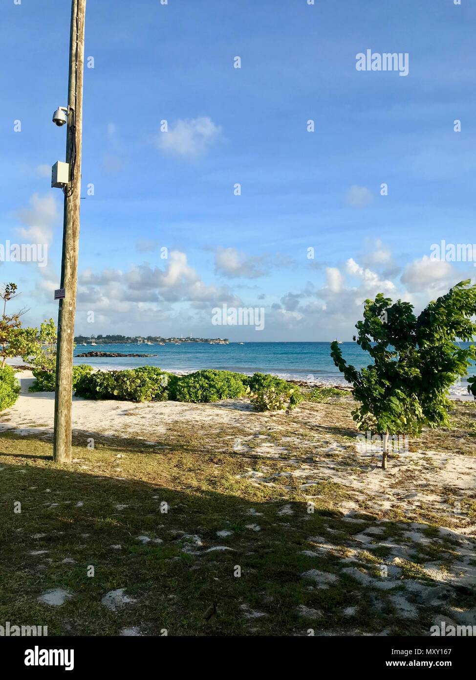 Beautiful sand beach in Barbados (Caribbean Island) with lush palm ...