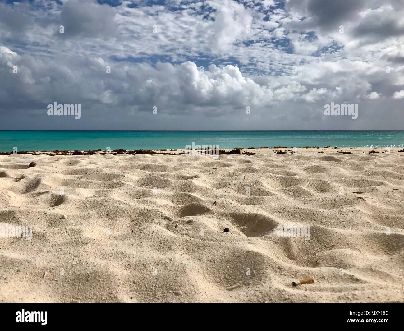 Beautiful panoramic view of an scenic untouched sand beach in Barbados ...