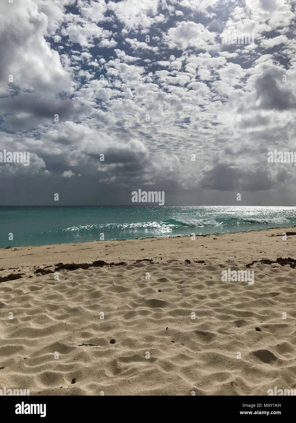Beautiful panoramic view of an scenic untouched sand beach in Barbados ...