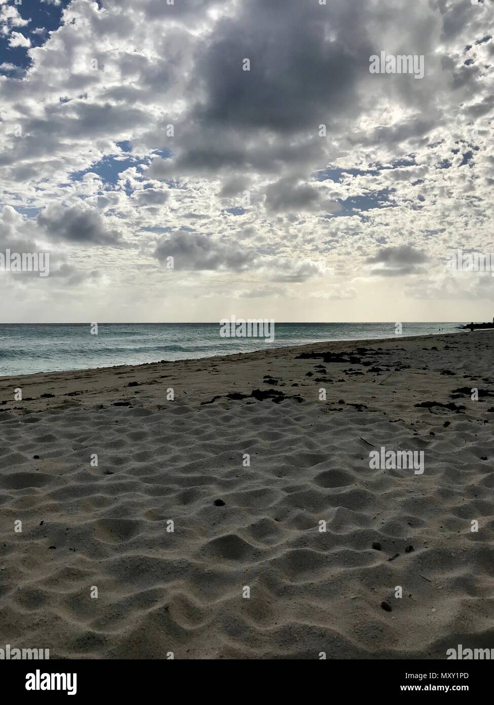 Beautiful panoramic view of an scenic untouched sand beach in Barbados ...