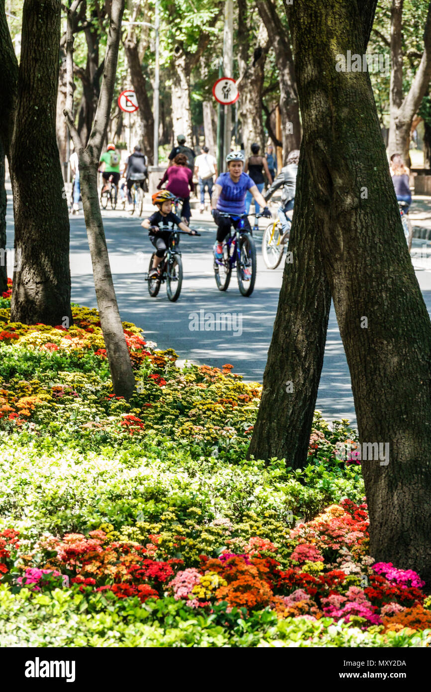 Mexico City,Mexican,Hispanic Latin Latino ethnic,Bosque de Chapultepec ...
