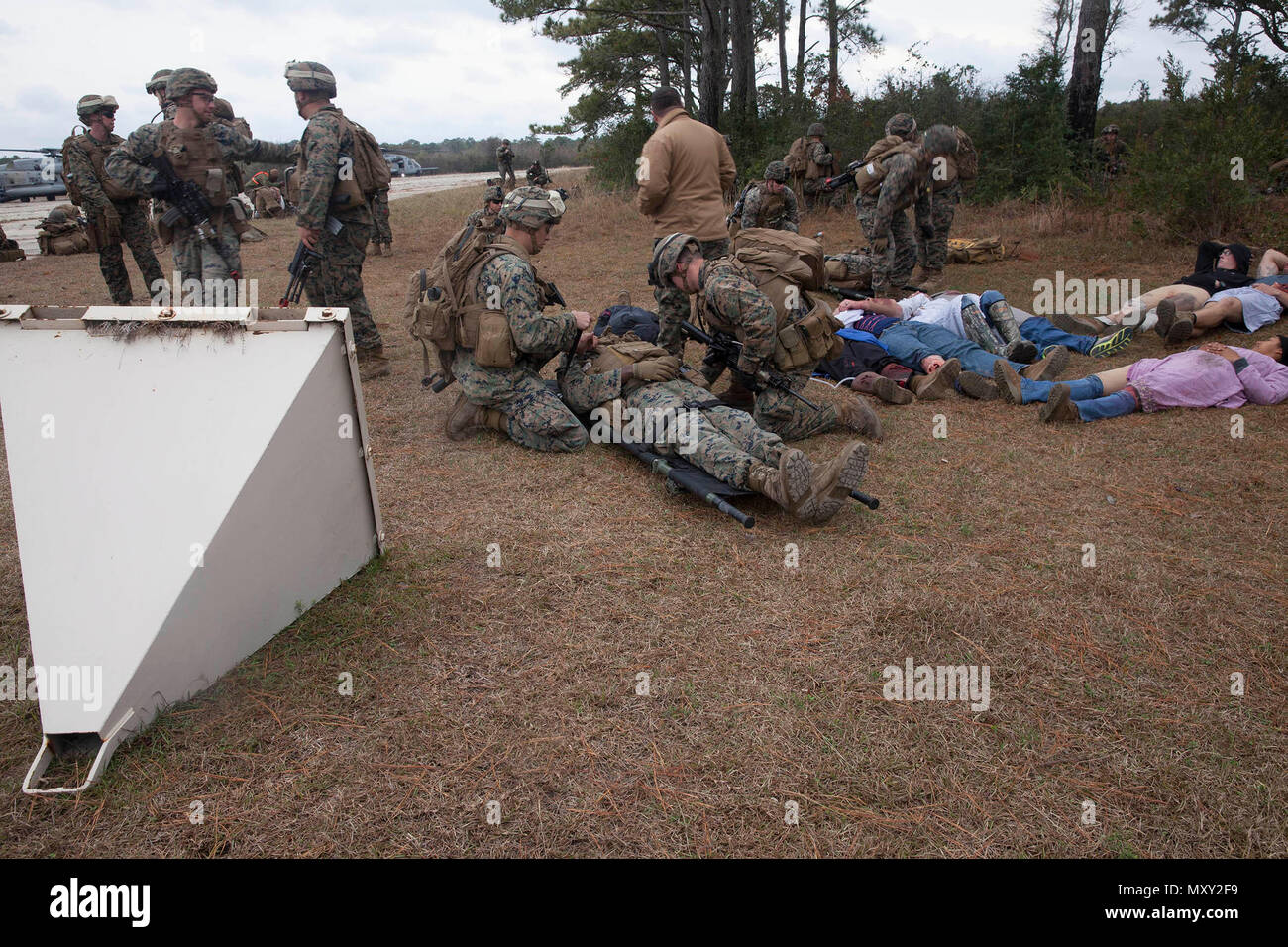 Mascal zone hi-res stock photography and images - Alamy