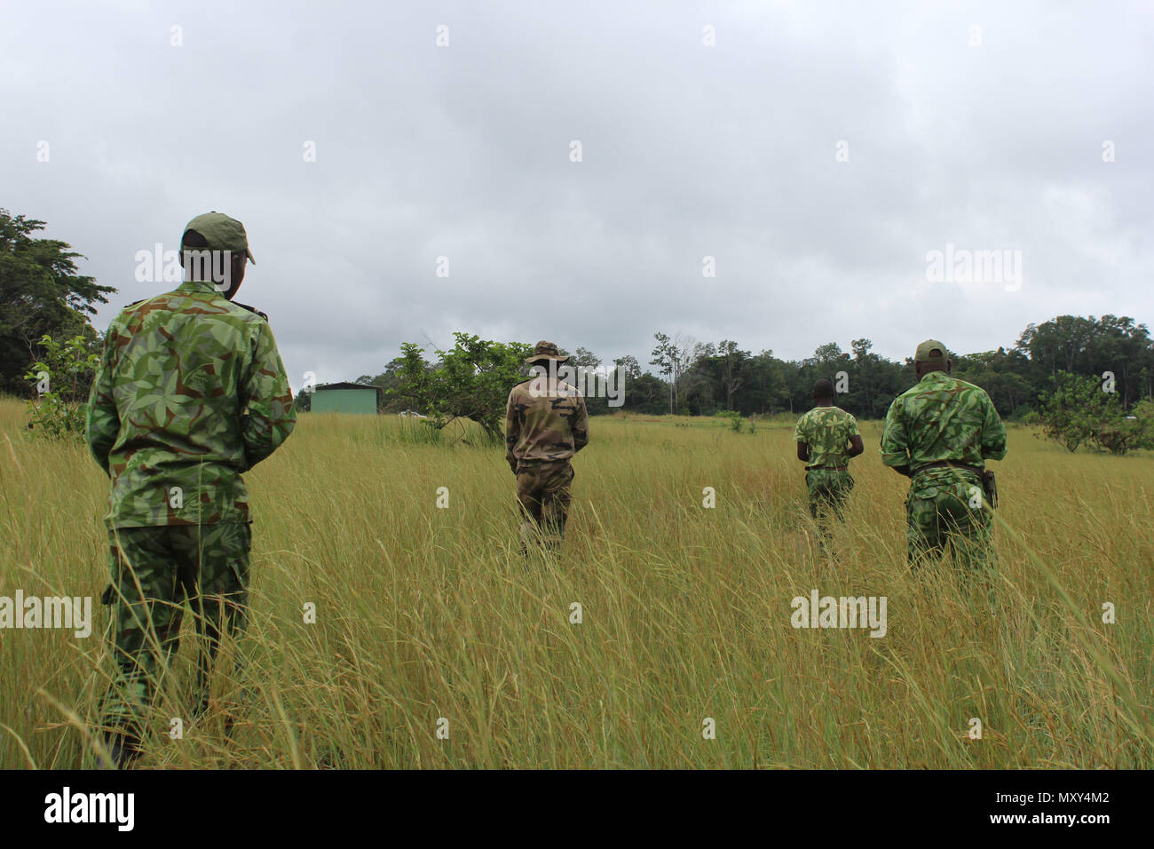 Members of the Gabonese Armed Forces and Agency for National Parks ...