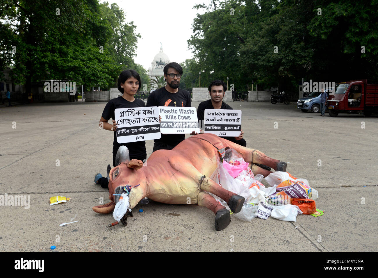 Kolkata, India. 04th June, 2018. People for the Ethical Treatment of ...