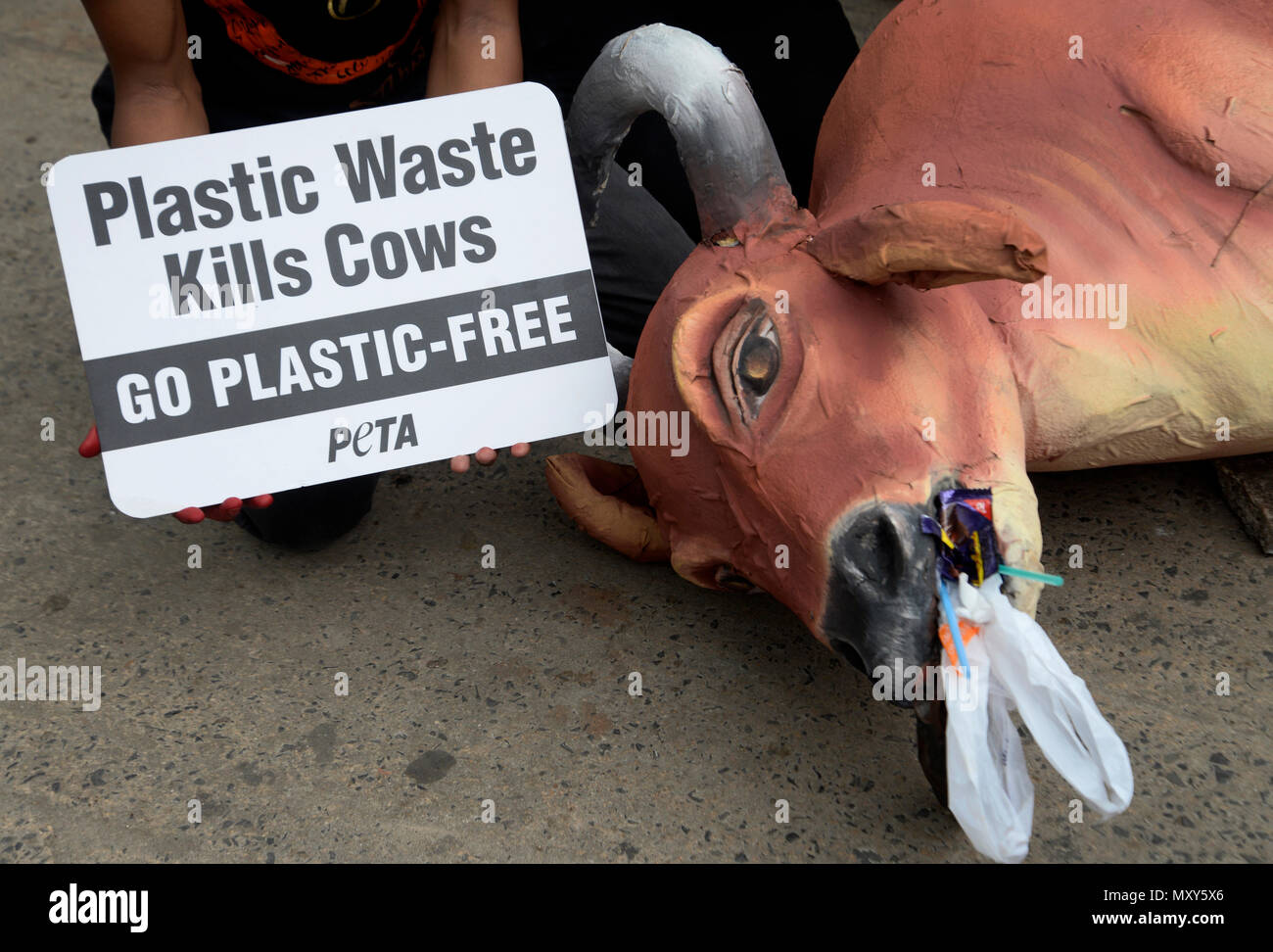 Kolkata, India. 04th June, 2018. People for the Ethical Treatment of ...