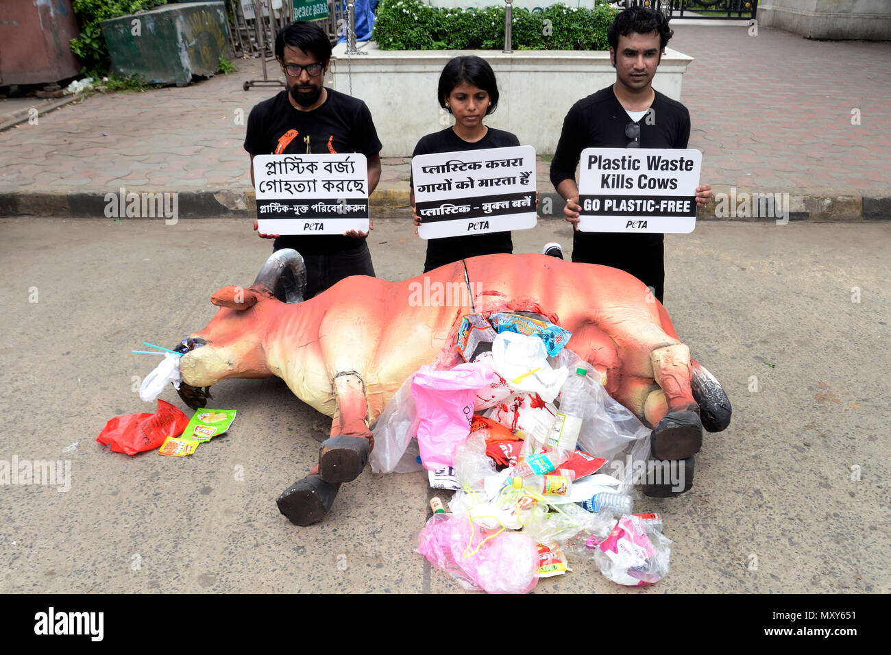 Kolkata, India. 04th June, 2018. People for the Ethical Treatment of ...