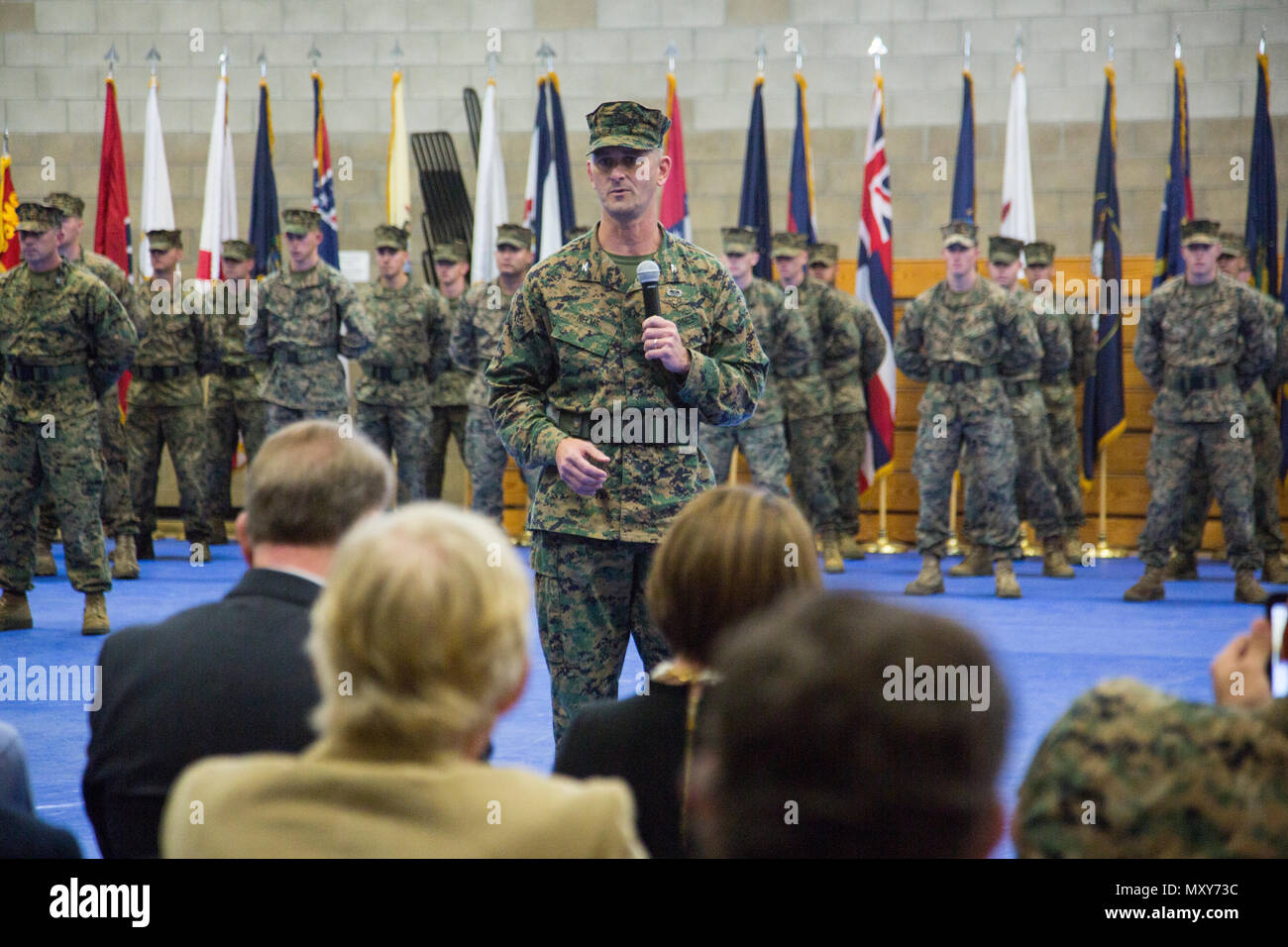 Col. Chandler Nelms, the new commanding officer of the 13th Marine ...