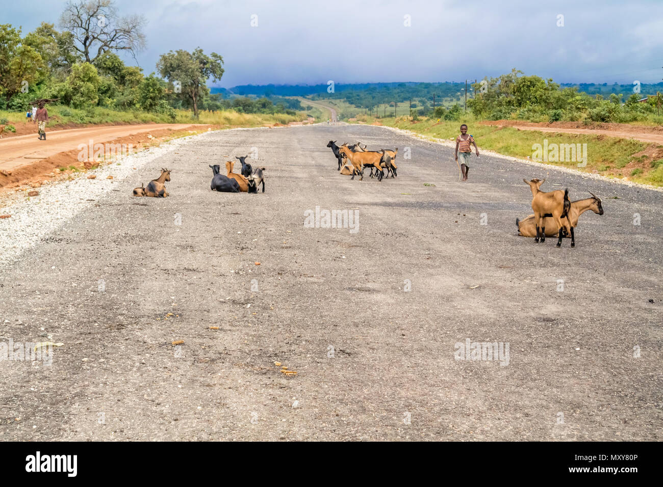 Nyimba hi-res stock photography and images - Alamy