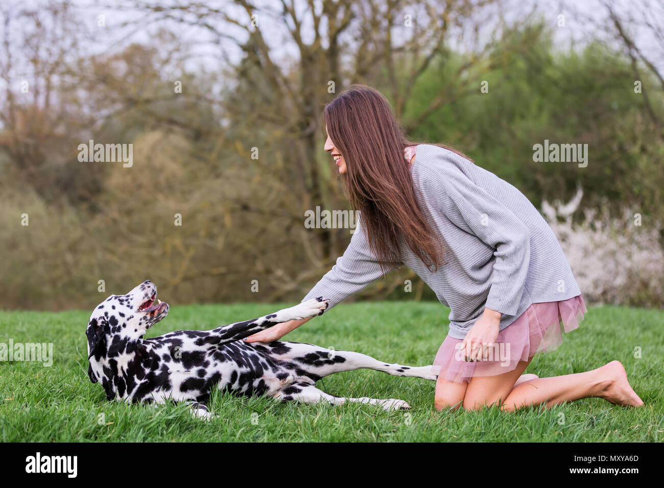 picture of a young woman who ruffles a dog's belly Stock Photo - Alamy