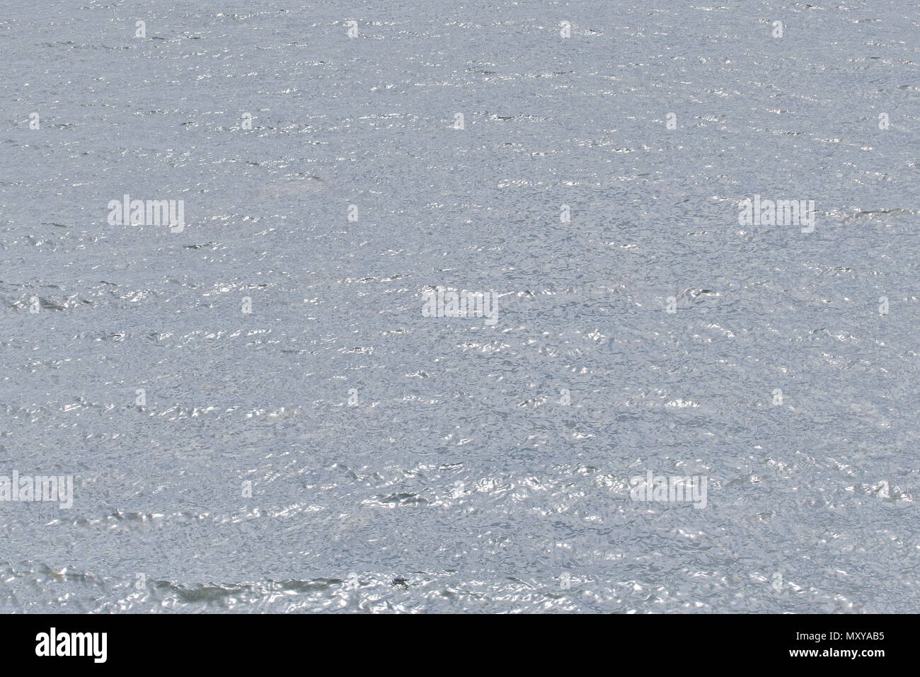 gray sea surface Stock Photo - Alamy