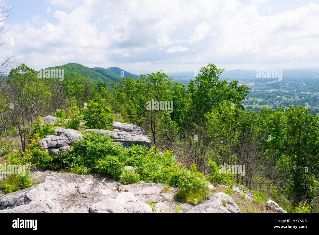 View of the Cumberland Trail from the top of the ridge at Devil's ...