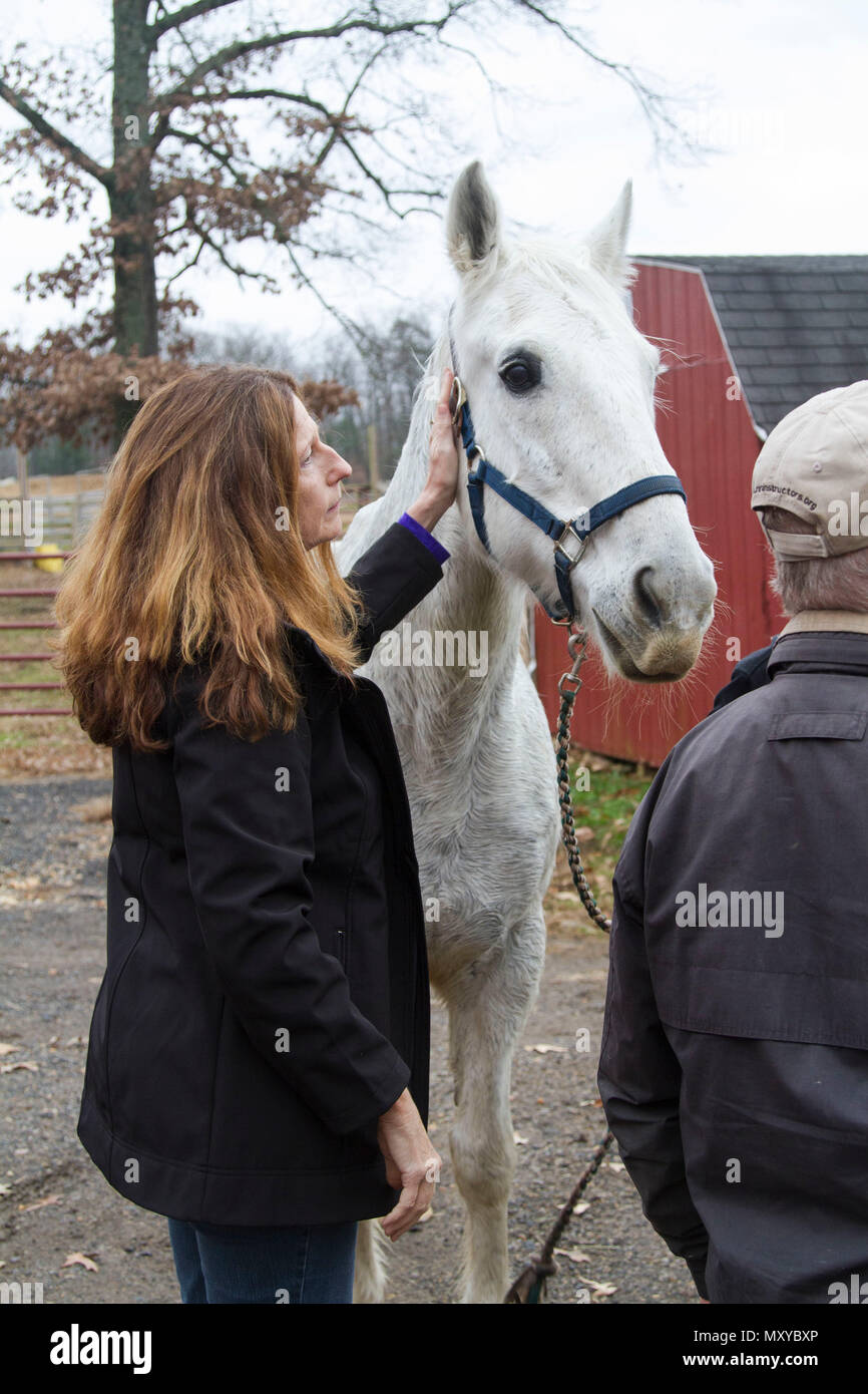 Before placing Surefire in their trailer, Marissa Murphy, Caisson horse ...