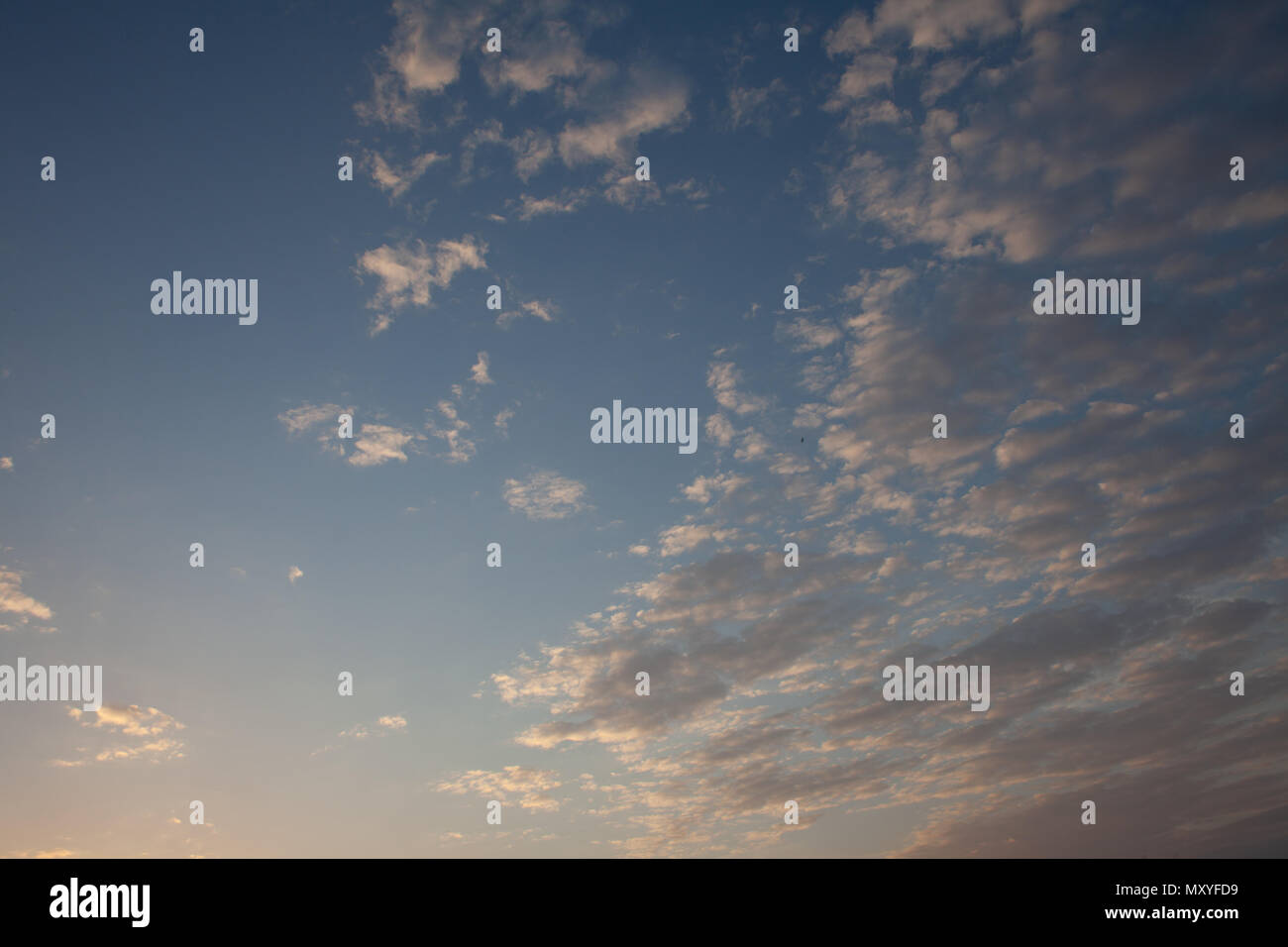 Clear cloudy sky with sunset light. Different shades blue colors and ...