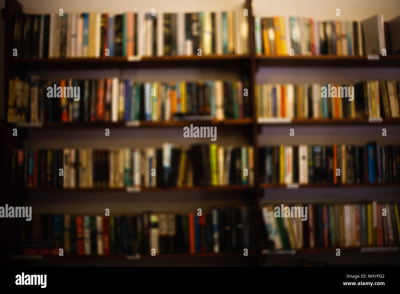 A large interior room home library with many diffirent books. Front ...