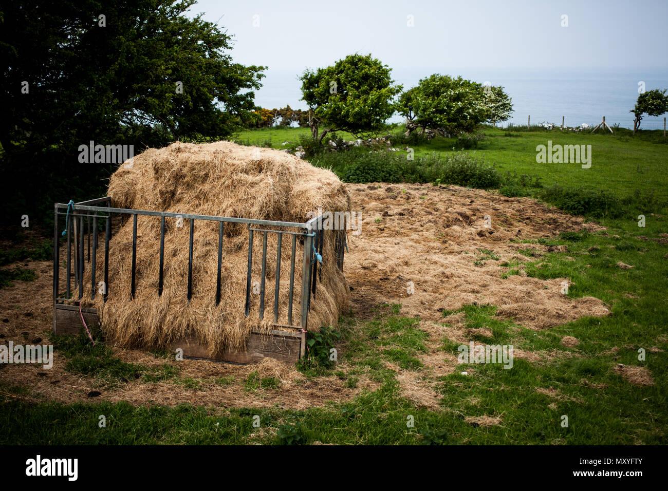 Spring fodder rack hi-res stock photography and images - Alamy