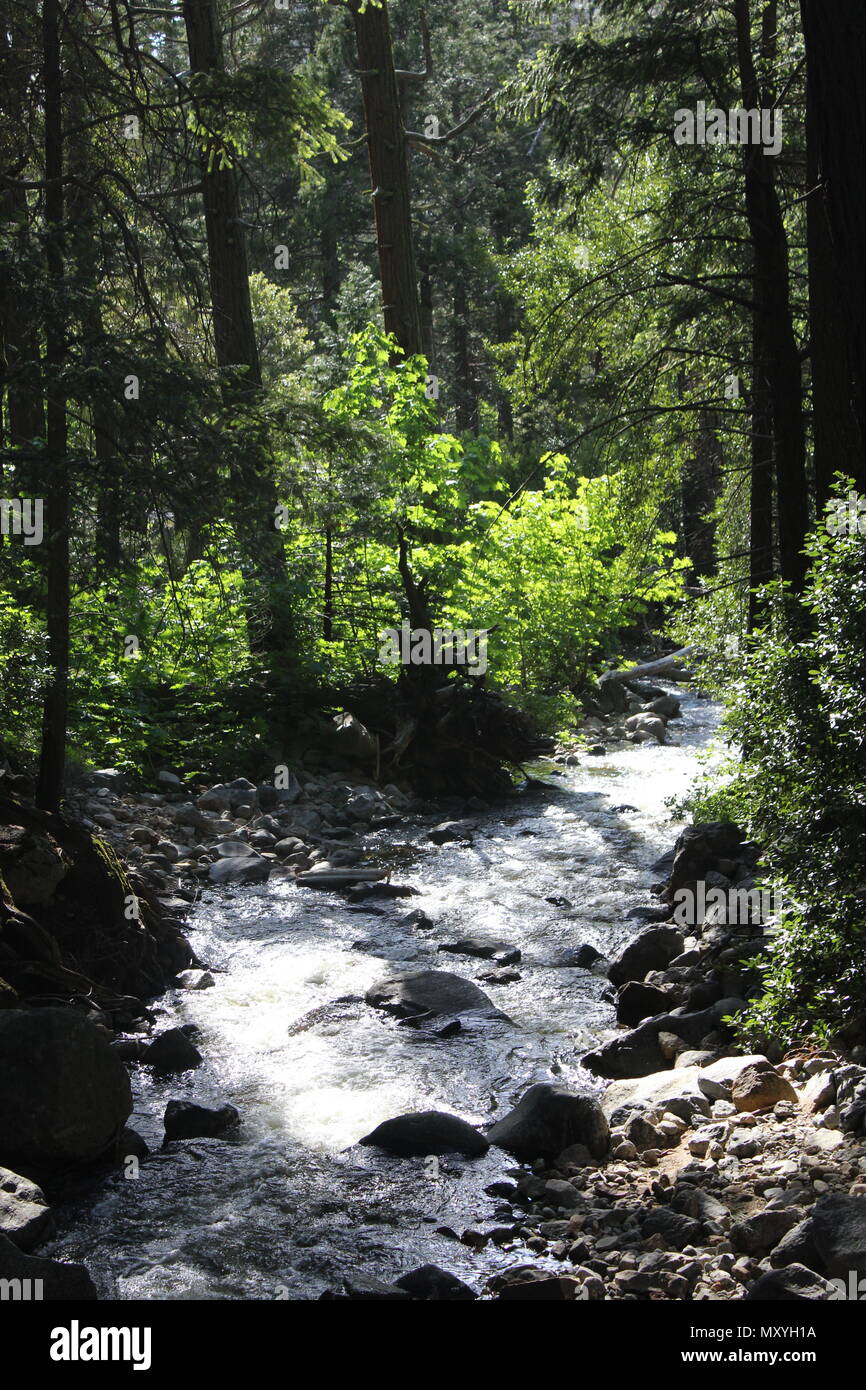 Prison tower torture house hi-res stock photography and images - Alamy