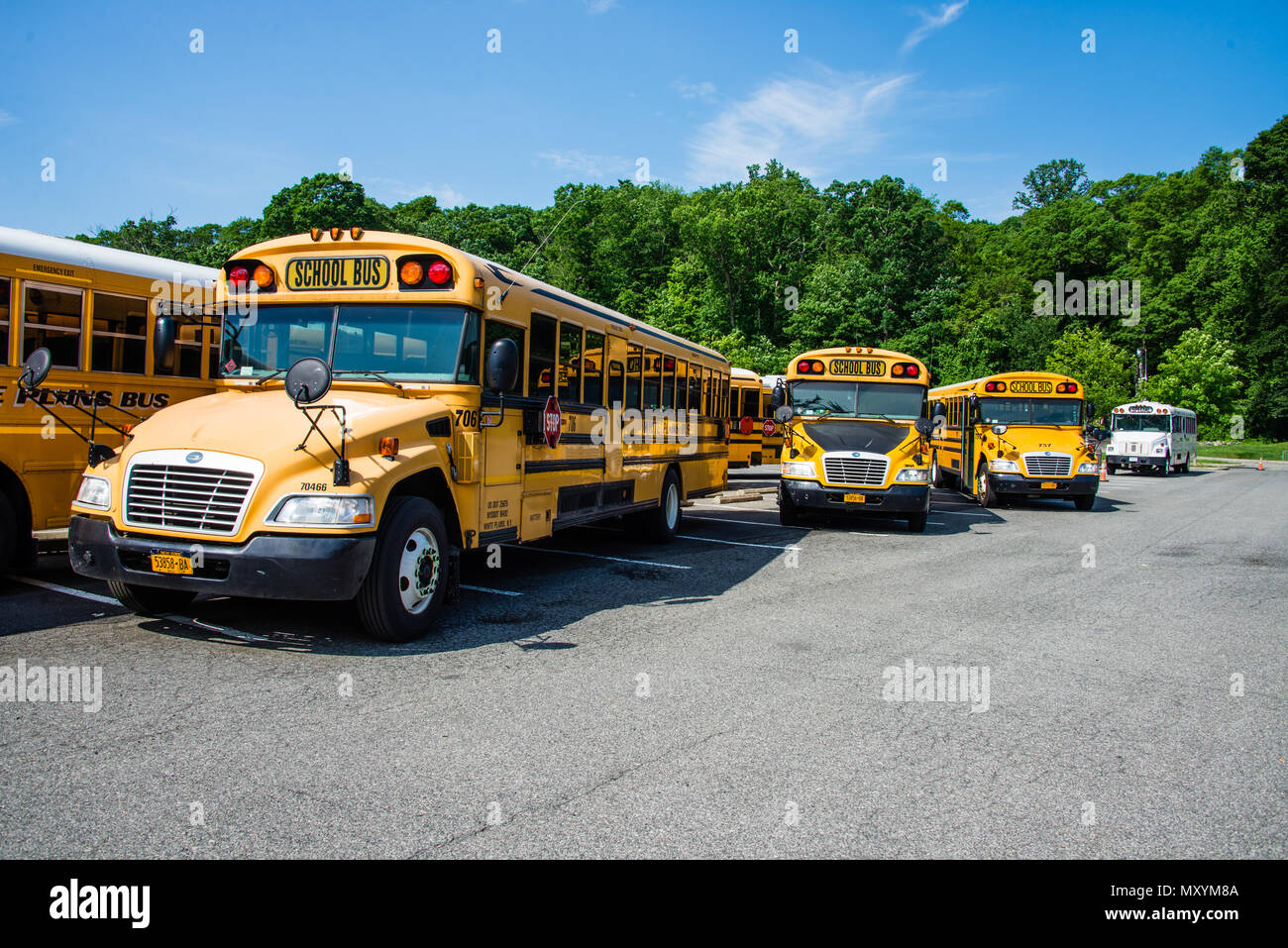 School buses parked on weekend Stock Photo - Alamy