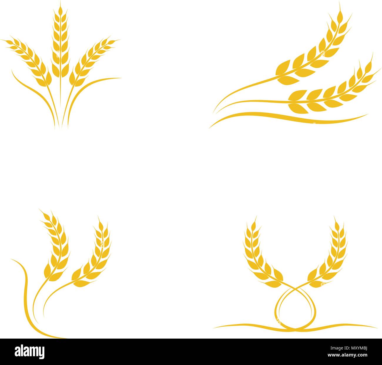 Agriculture wheat Logo Template vector icon design Stock Vector Image ...