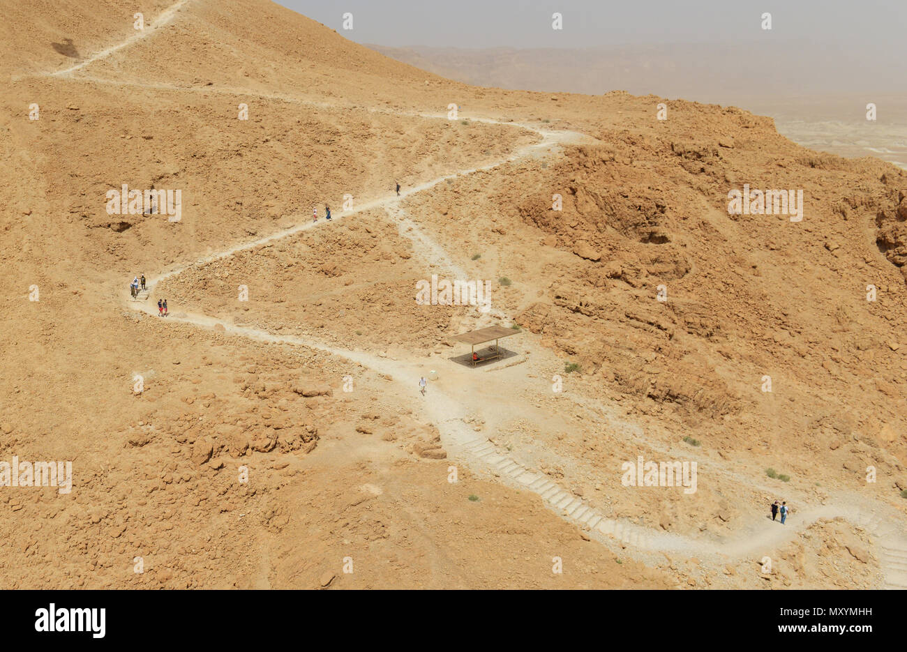 Snake trail desert hi-res stock photography and images - Alamy