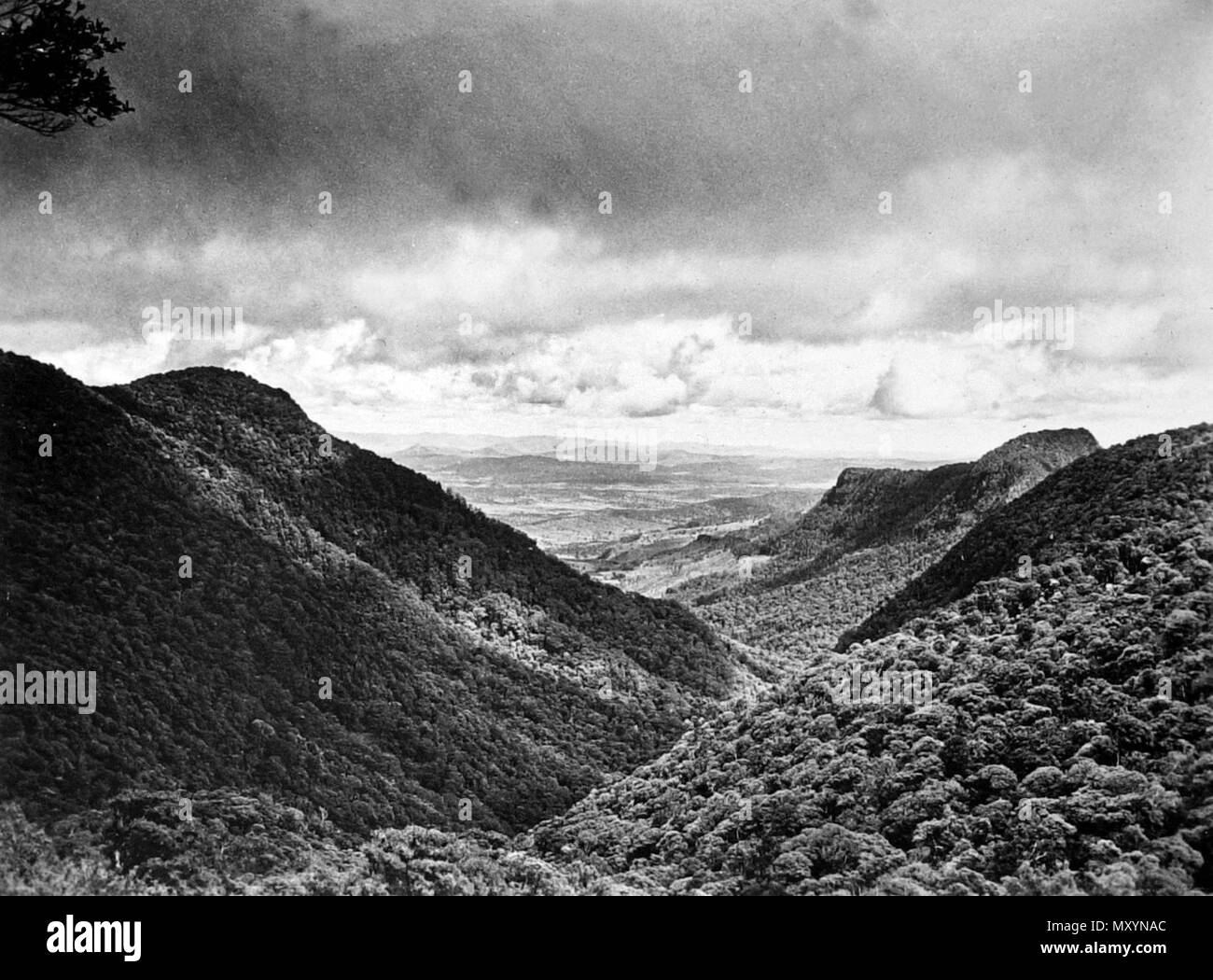 Razorback range new south wales hi-res stock photography and images - Alamy