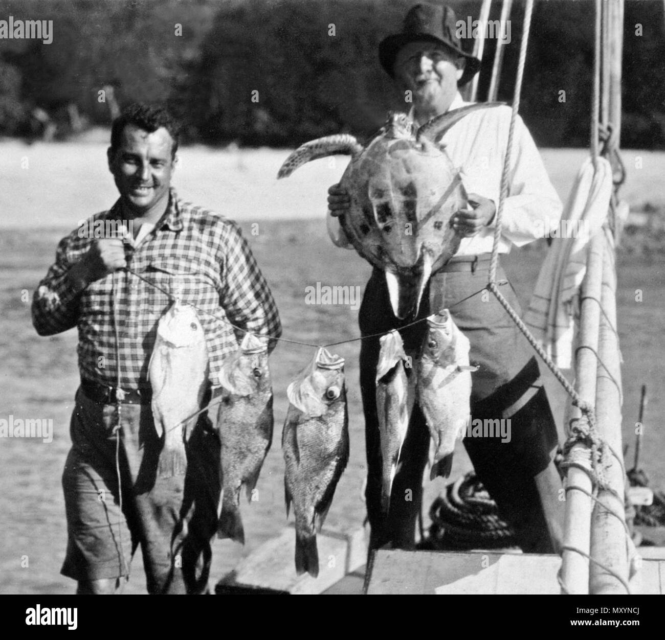 Pink perch fish Black and White Stock Photos & Images - Alamy