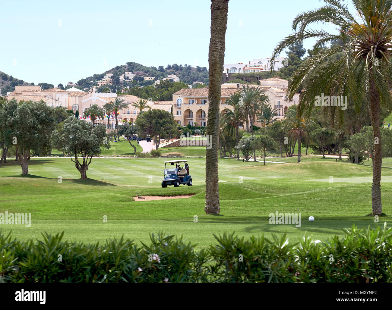 Lush golf landscape hi-res stock photography and images - Alamy