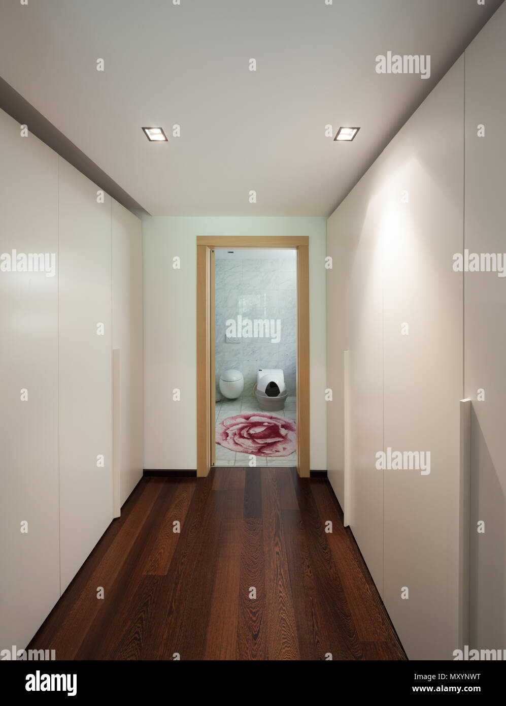 Interior of modern house, corridor with closets Stock Photo - Alamy