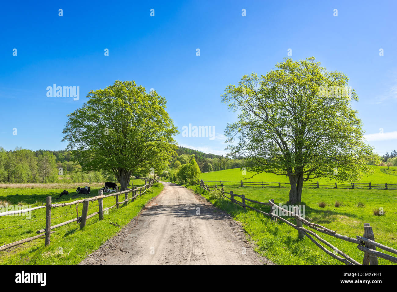 Rural countryside and farm landscape with country road Stock Photo - Alamy