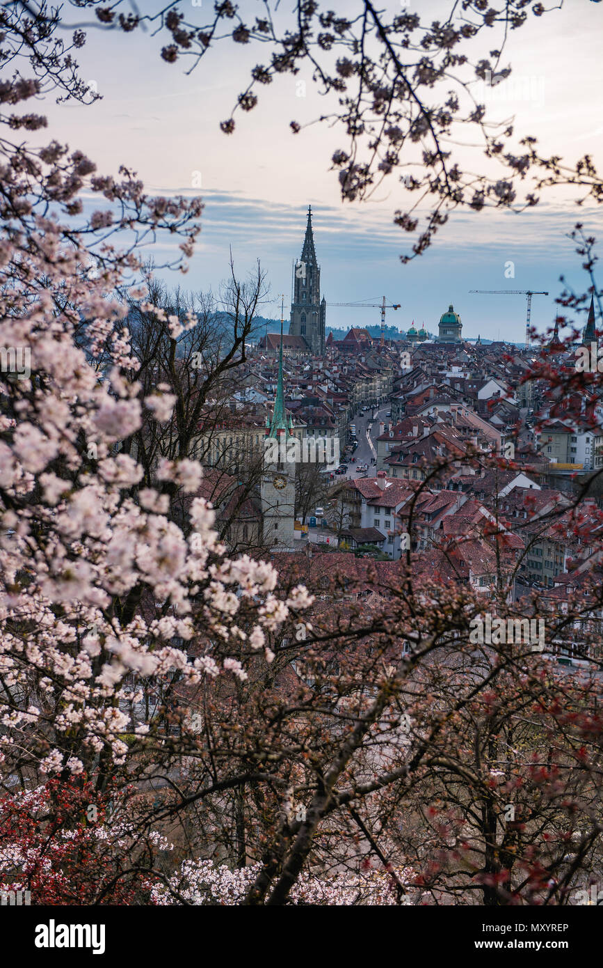 city of Bern during Cherry blossom in spring Stock Photo - Alamy