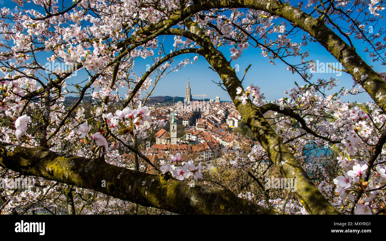 Palazzo federale hi-res stock photography and images - Alamy