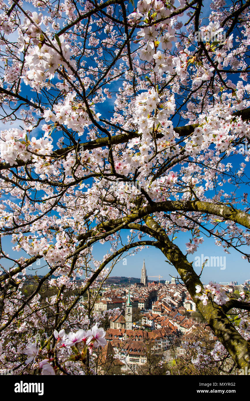 Palazzo federale hi-res stock photography and images - Alamy