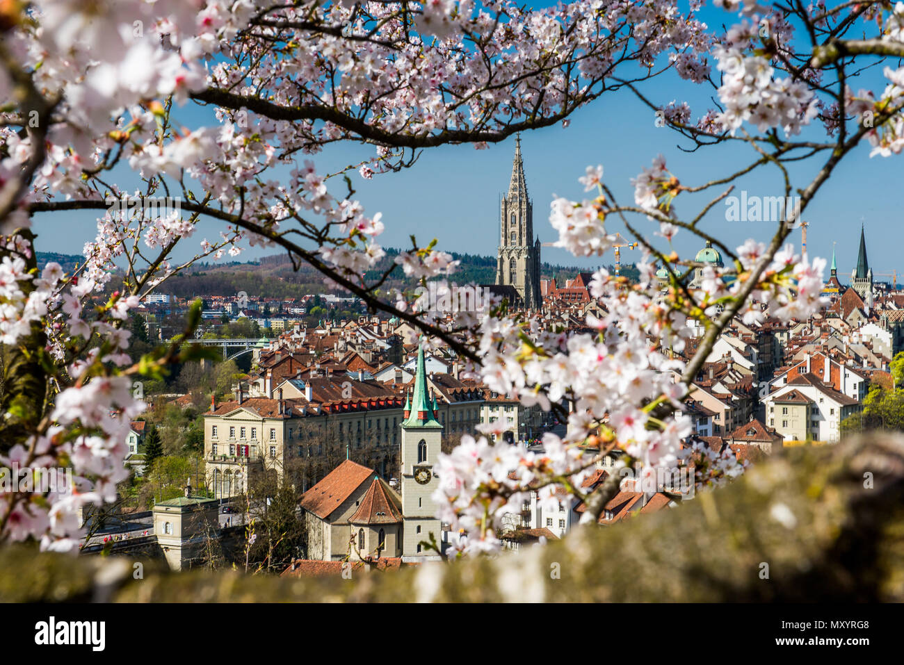 Palazzo federale hi-res stock photography and images - Alamy