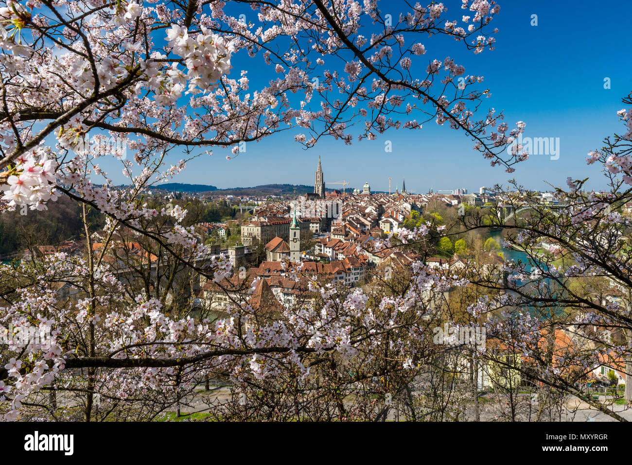 Palazzo federale hi-res stock photography and images - Alamy