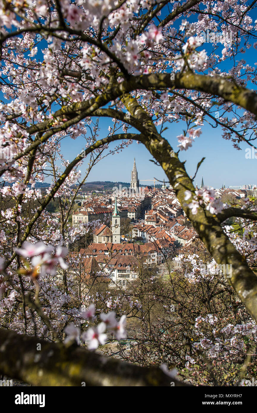 Palazzo federale hi-res stock photography and images - Alamy