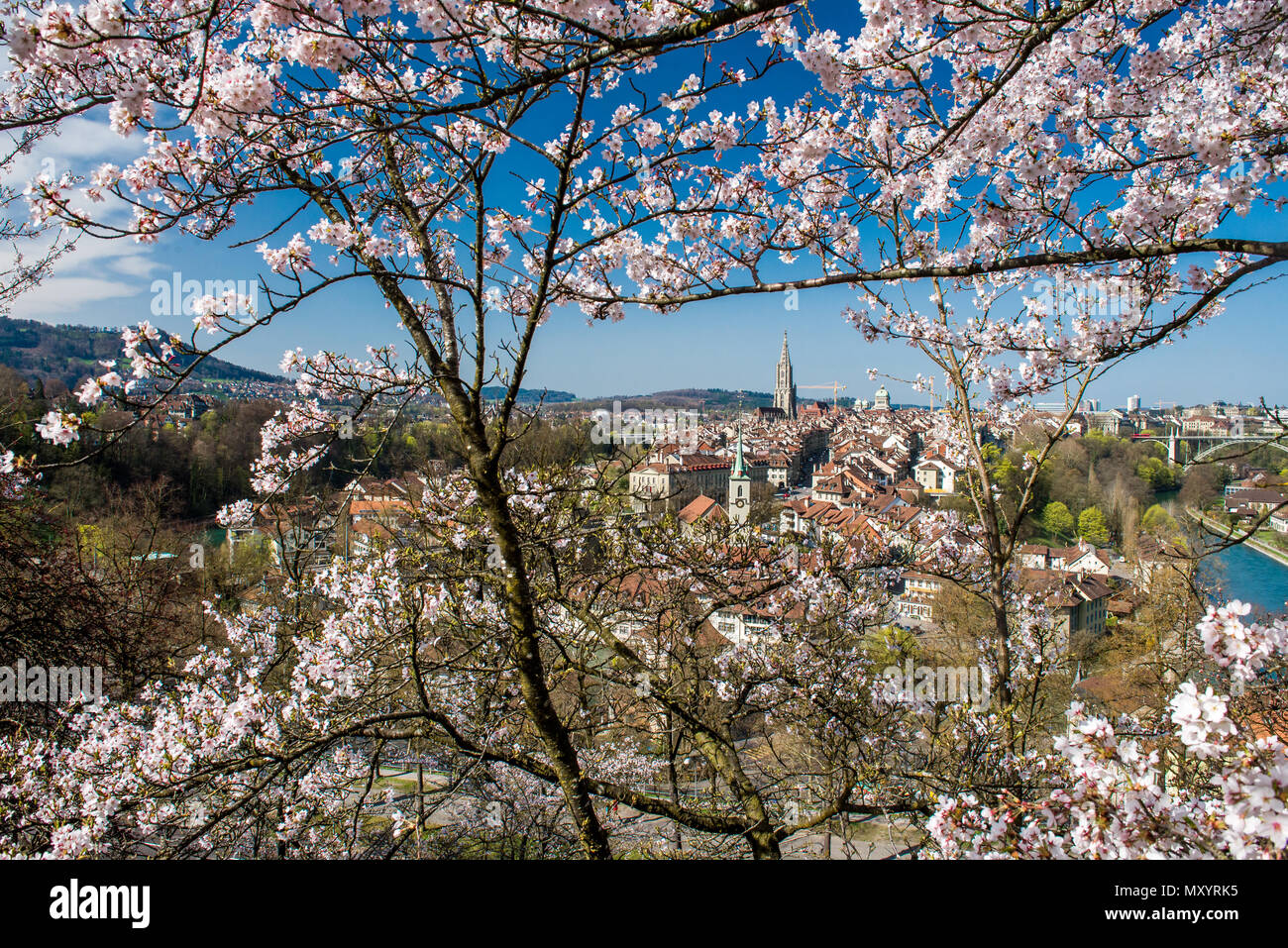 Palazzo federale hi-res stock photography and images - Alamy
