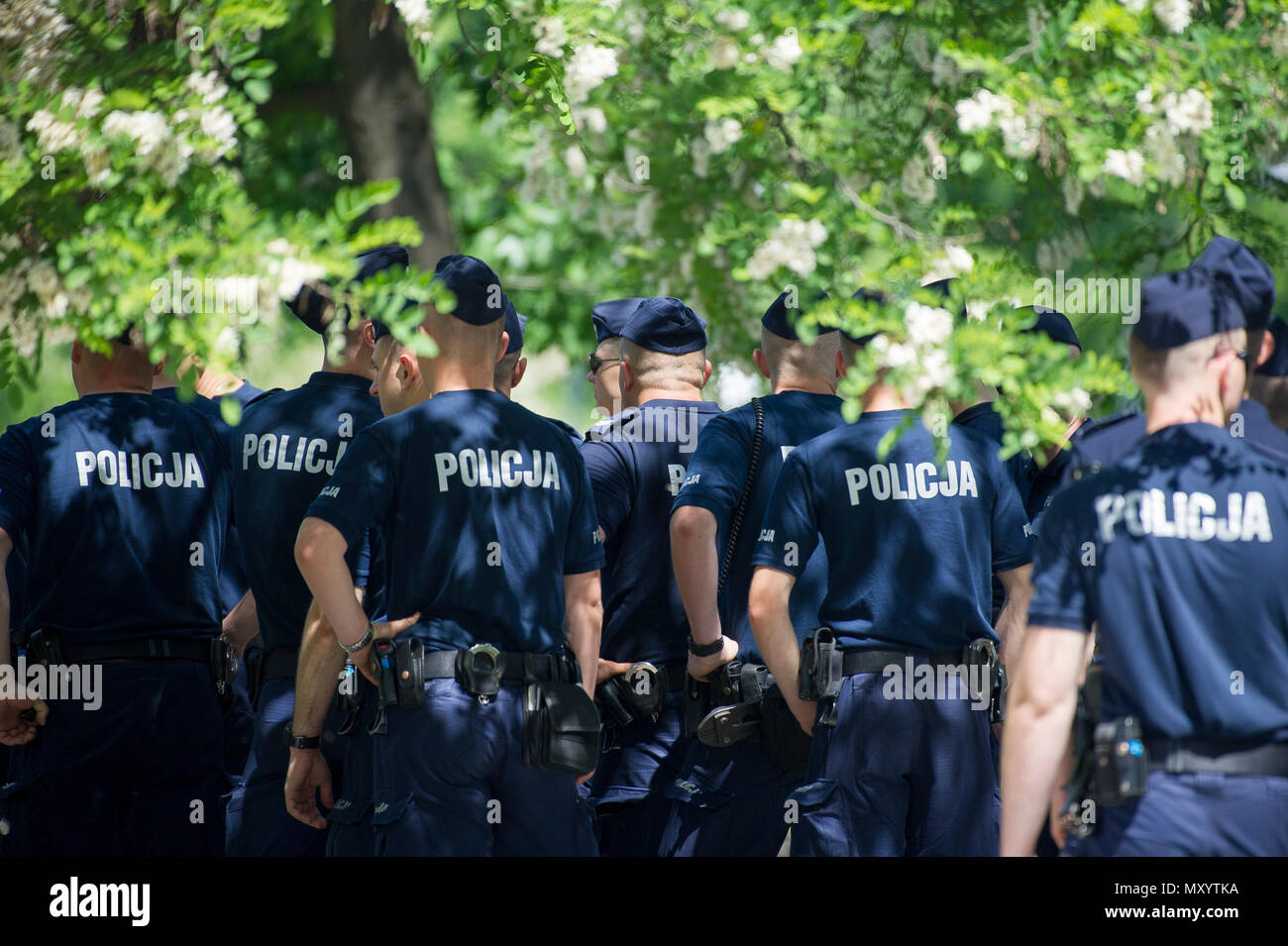Polish anti-riot police (Oddzialy Prewencji Policji) in Warsaw, Poland ...
