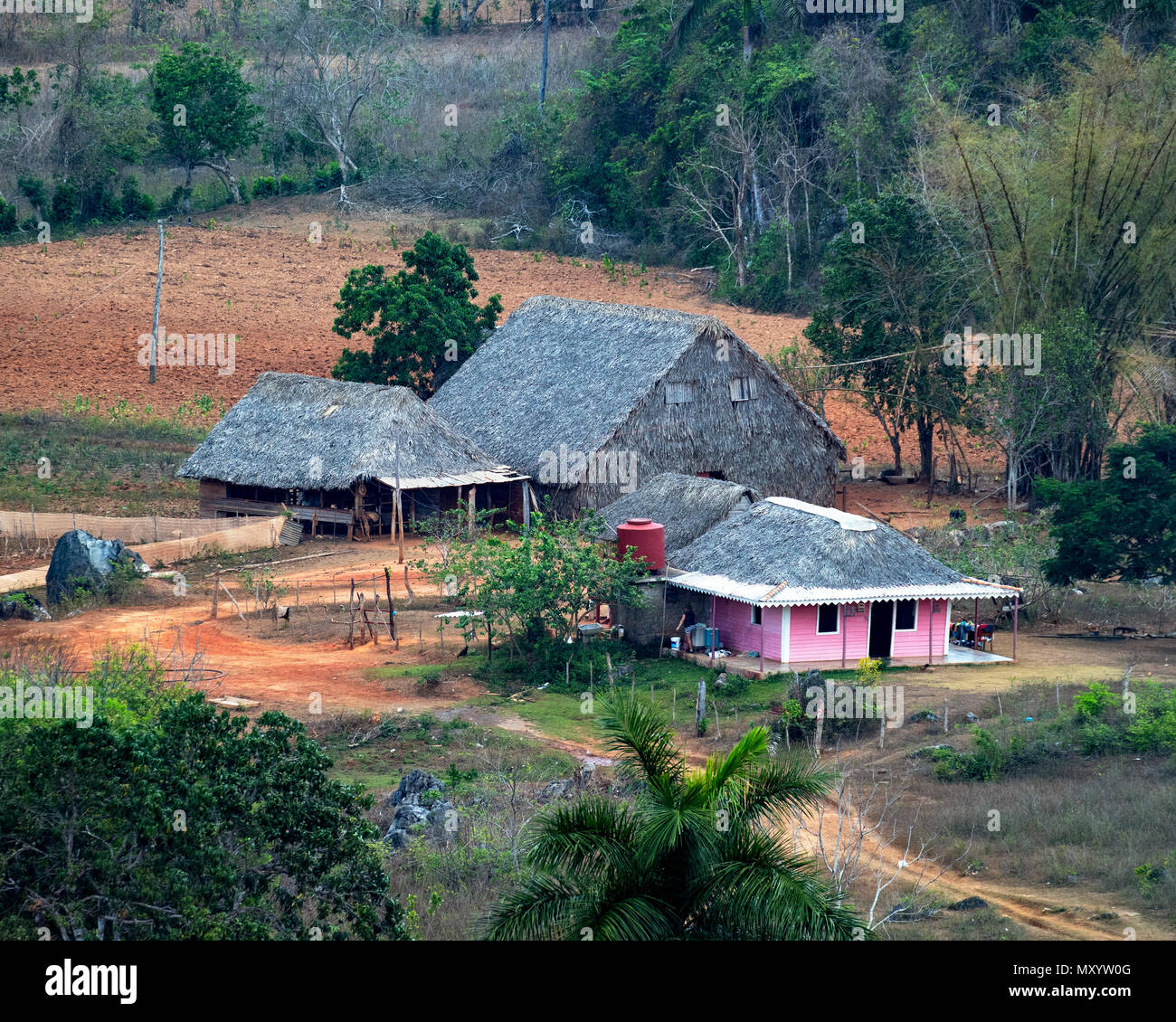 A farm with tobacco curing shed near Vinales Cuba Stock Photo - Alamy