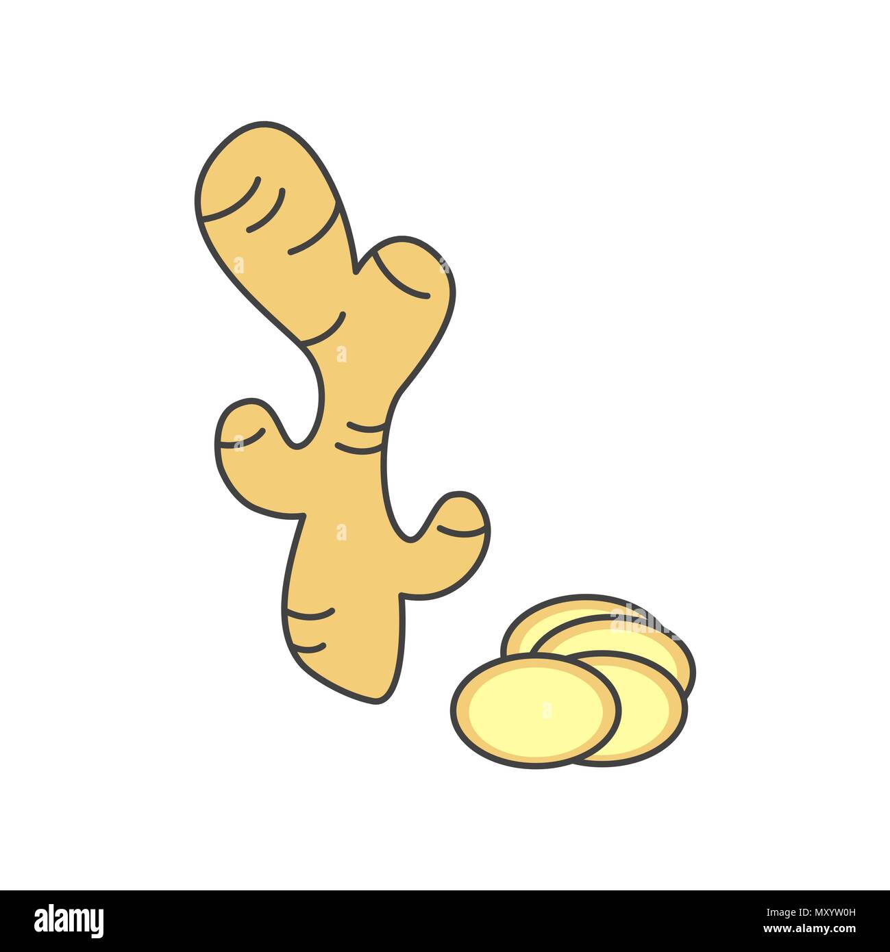 cute fresh ginger root vector illustration isolated on white background ...