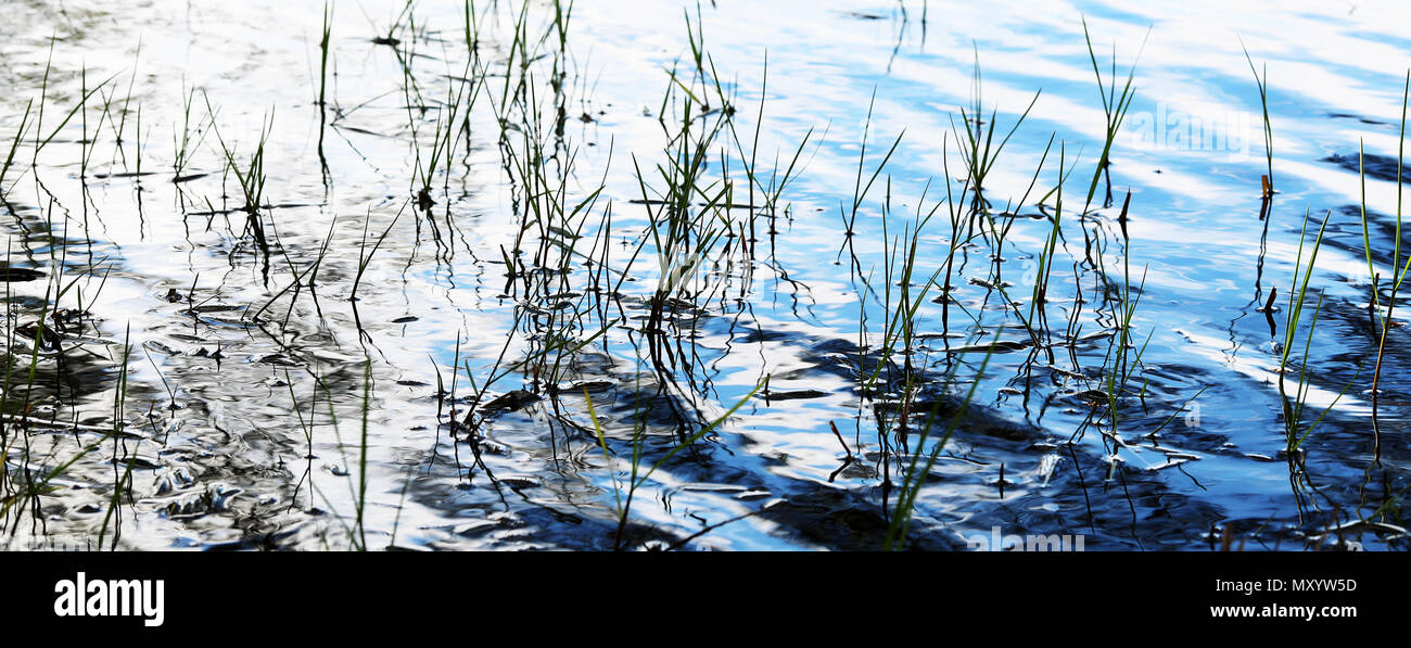 Inky texture hi-res stock photography and images - Alamy