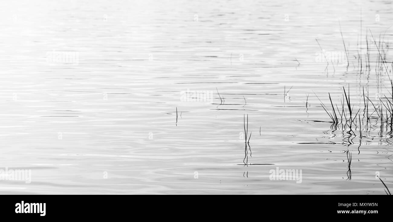 Waves ripples hi-res stock photography and images - Alamy