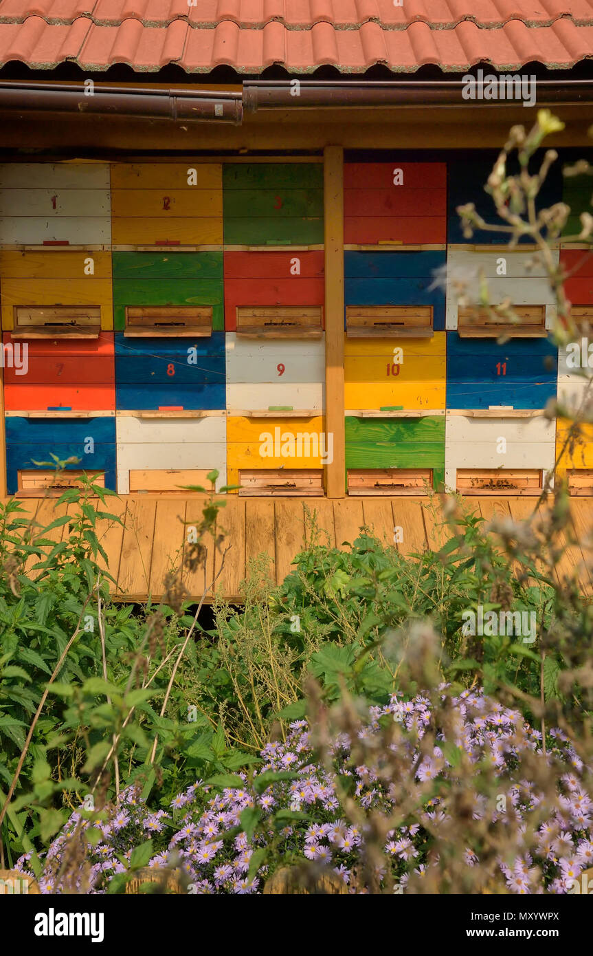 Traditional beehives hi-res stock photography and images - Alamy
