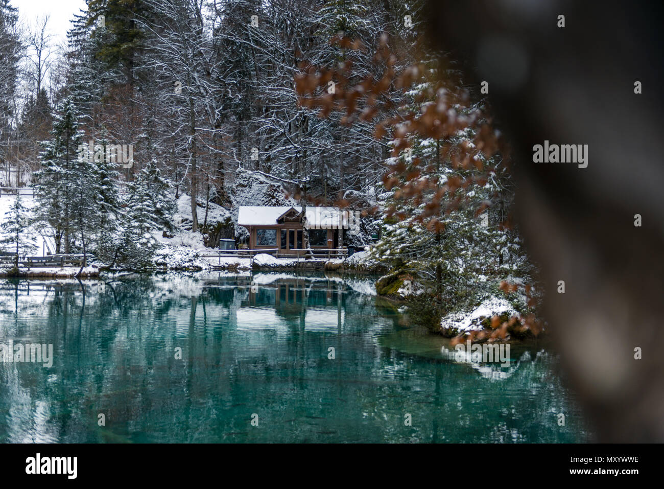 idyllic Blausee near Kandersteg in winter Stock Photo - Alamy