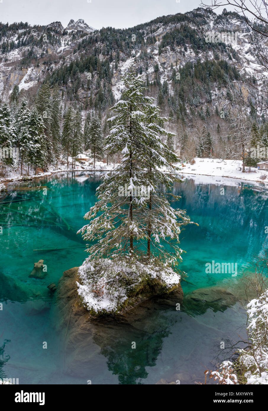 idyllic Blausee near Kandersteg in winter Stock Photo - Alamy