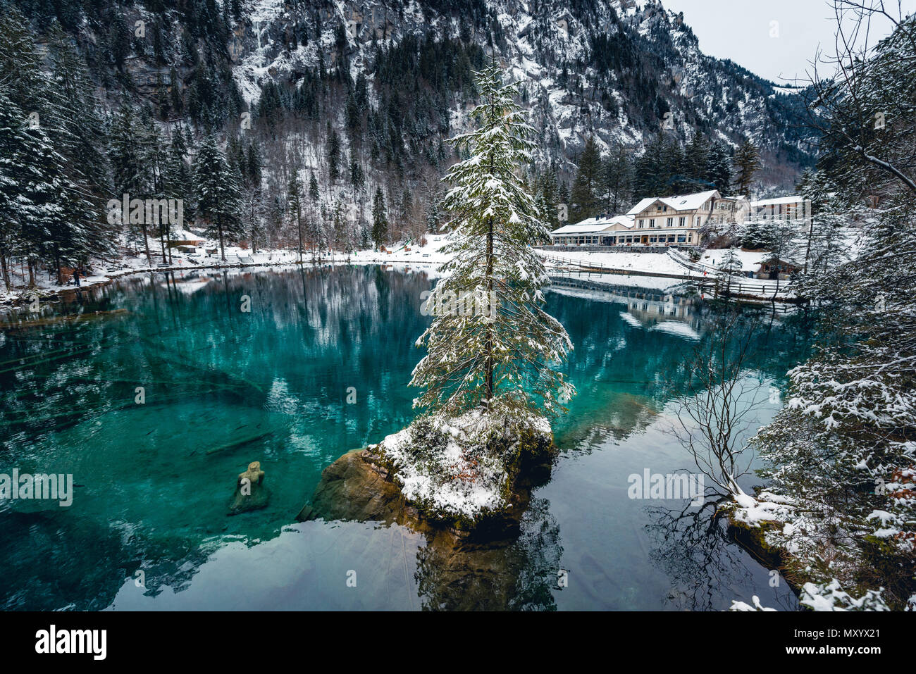 idyllic Blausee near Kandersteg in winter Stock Photo - Alamy