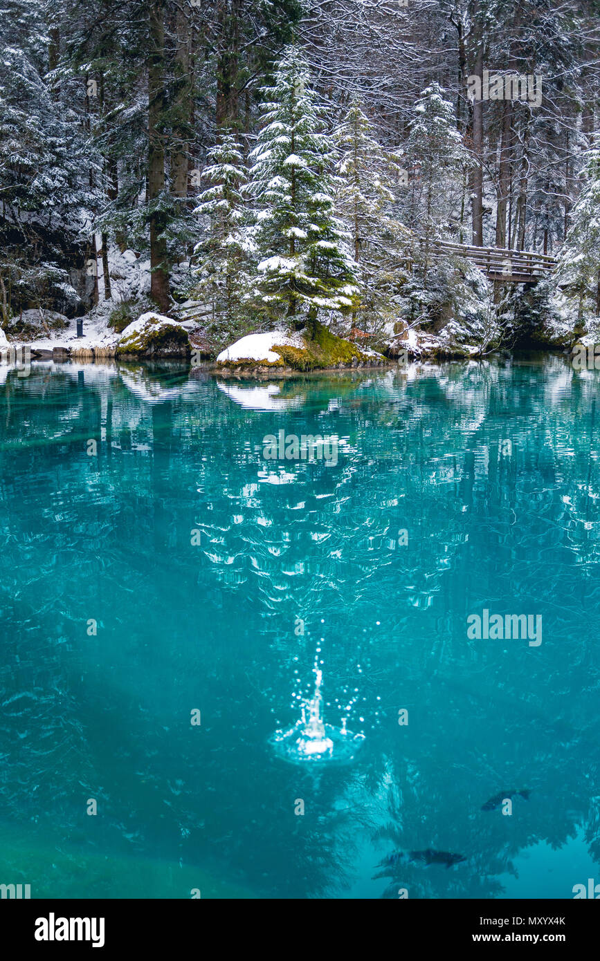 Blausee bern hi-res stock photography and images - Alamy